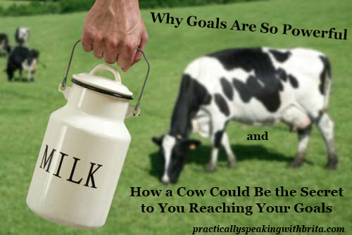 Why Goals Are So Powerful And How A Cow Could Be The Secret to Reaching ...
